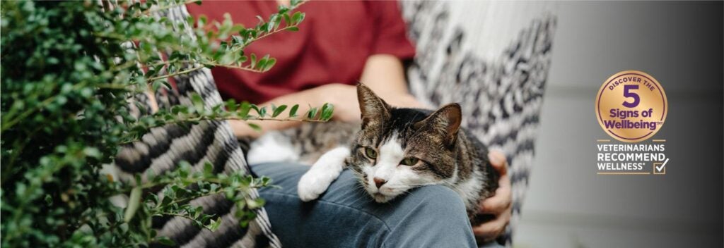 Wellbeing should be shared™. (Cat) | Wellness Pet Food