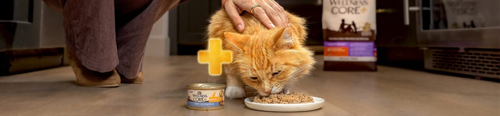 Wellness Core Plus for Cats | Wellness Pet Food