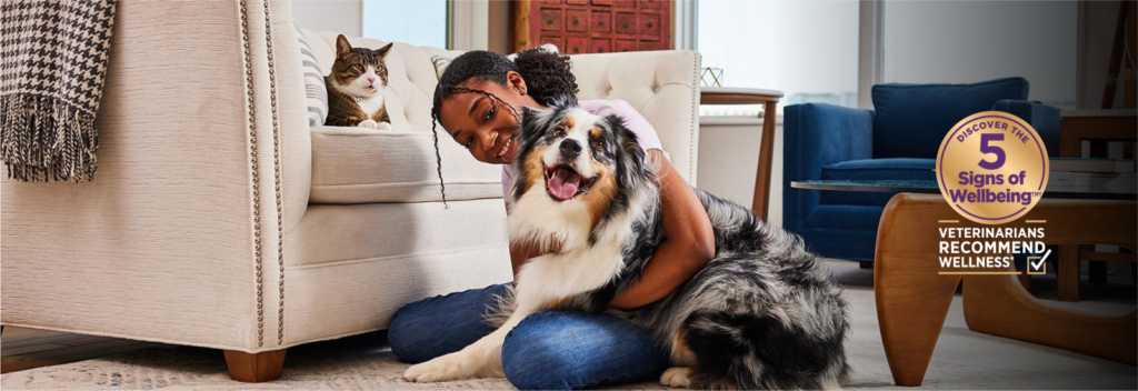 5 Signs of Wellbeing Cat or Dog | Wellness Pet Food