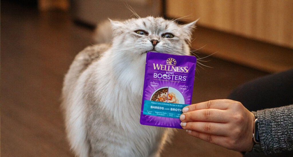 Wellness Toppers for Cats | Wellness Pet Food
