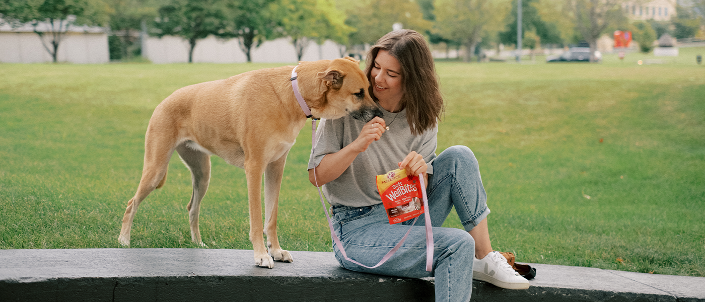 First-Time Dog Owners: Everything You Need To Know | Wellness