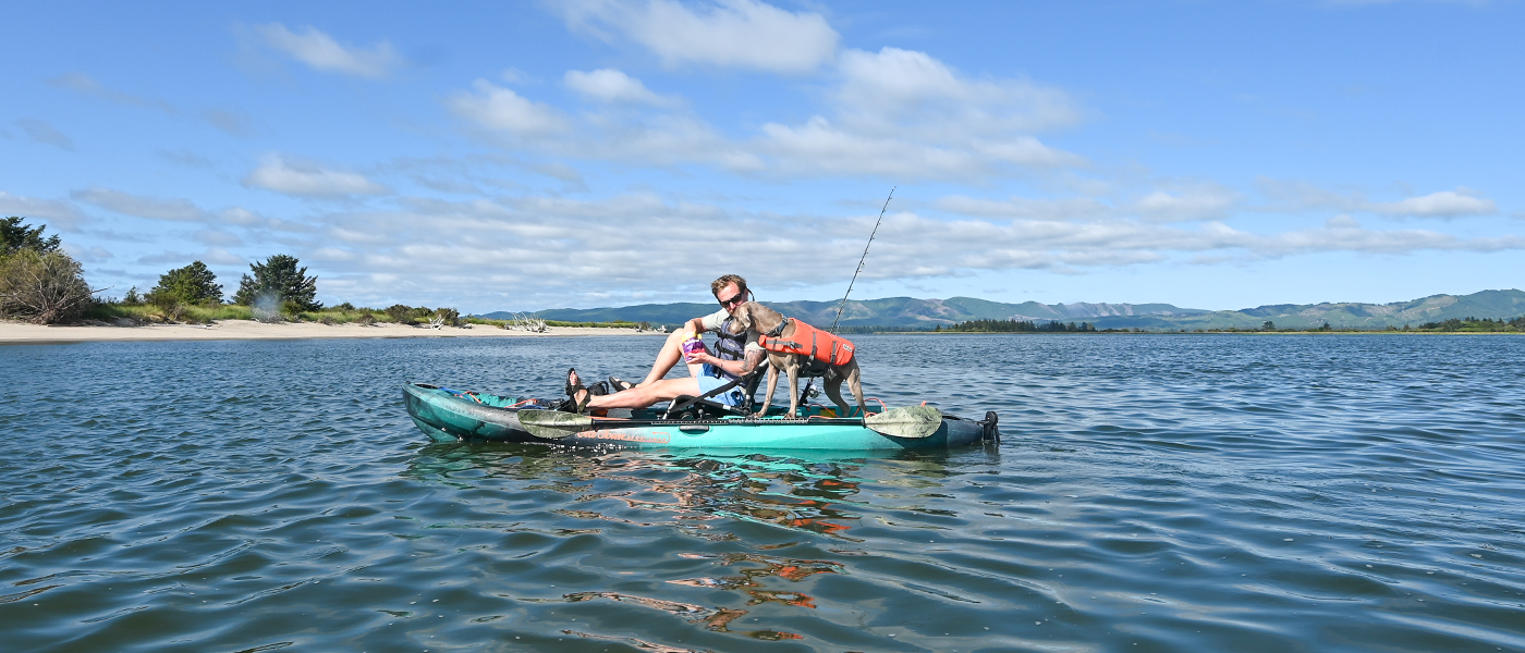 Pet Hydration and Water Safety | Wellness Pet Food