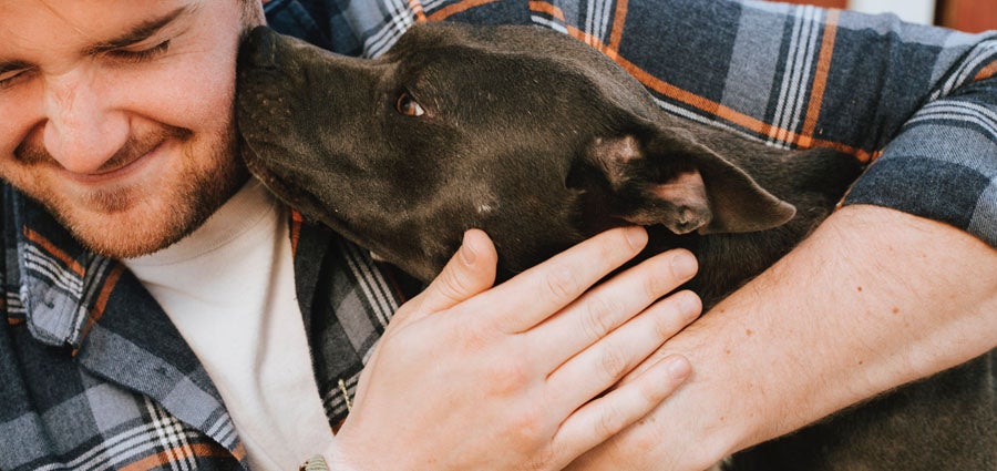 Grieving The Loss of a Beloved Pet | Wellness Pet Food