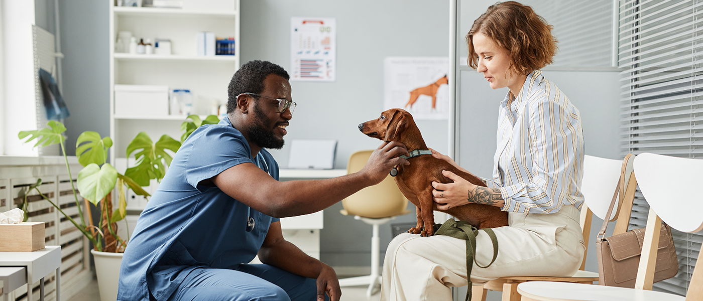 Veterinarian Recommended | Wellness Pet Food