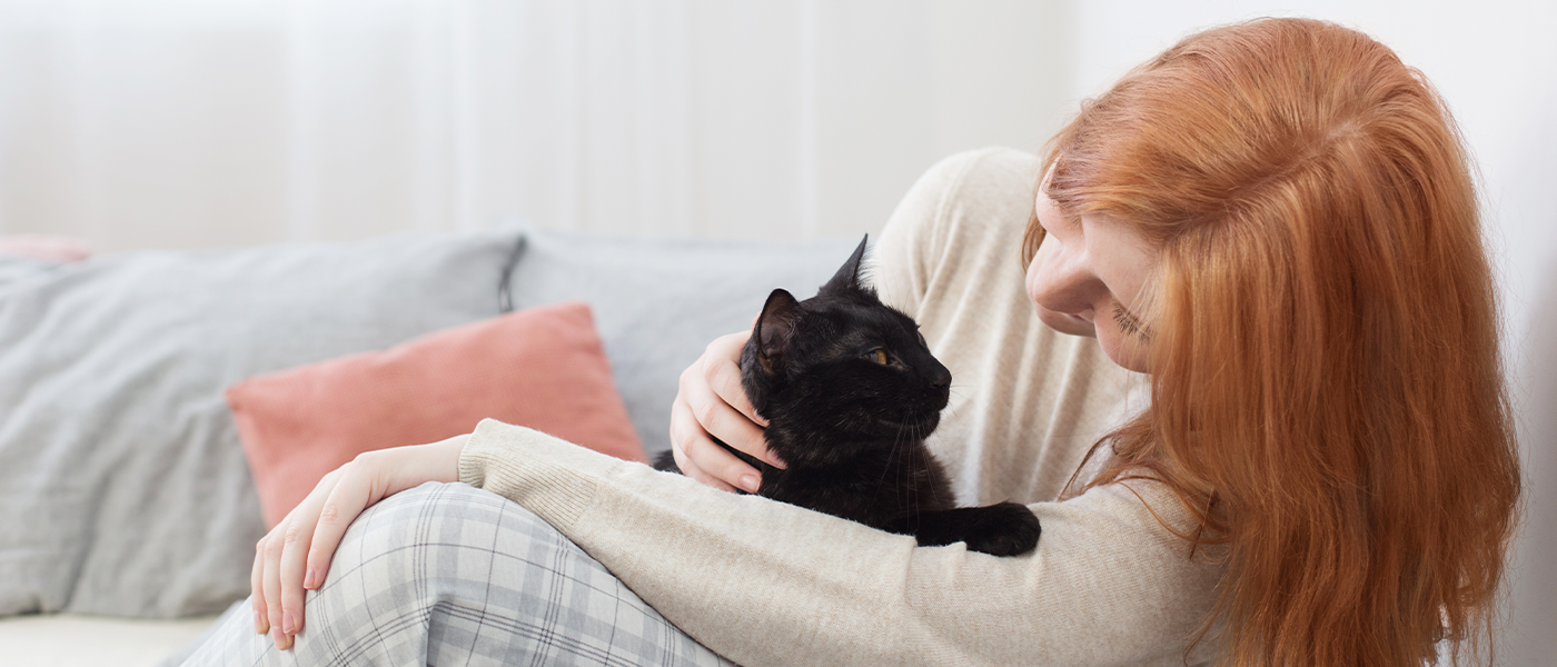 Black Cats: 6 Facts You Should Know | Wellness Pet Food