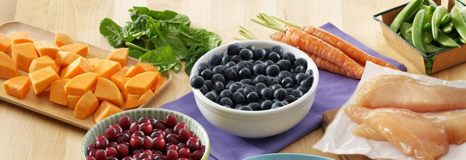 Quality Ingredients | Wellness Pet Food