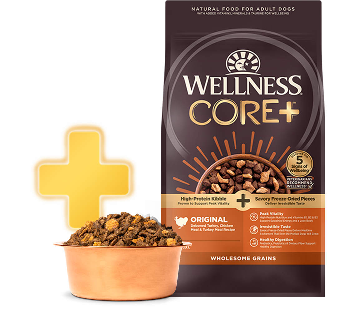 CORE+ Dogs | Wellness Pet Food