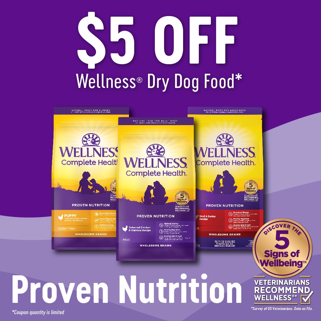 Changing Dog’s Food: Transition Wet or Dry | Wellness Pet Food