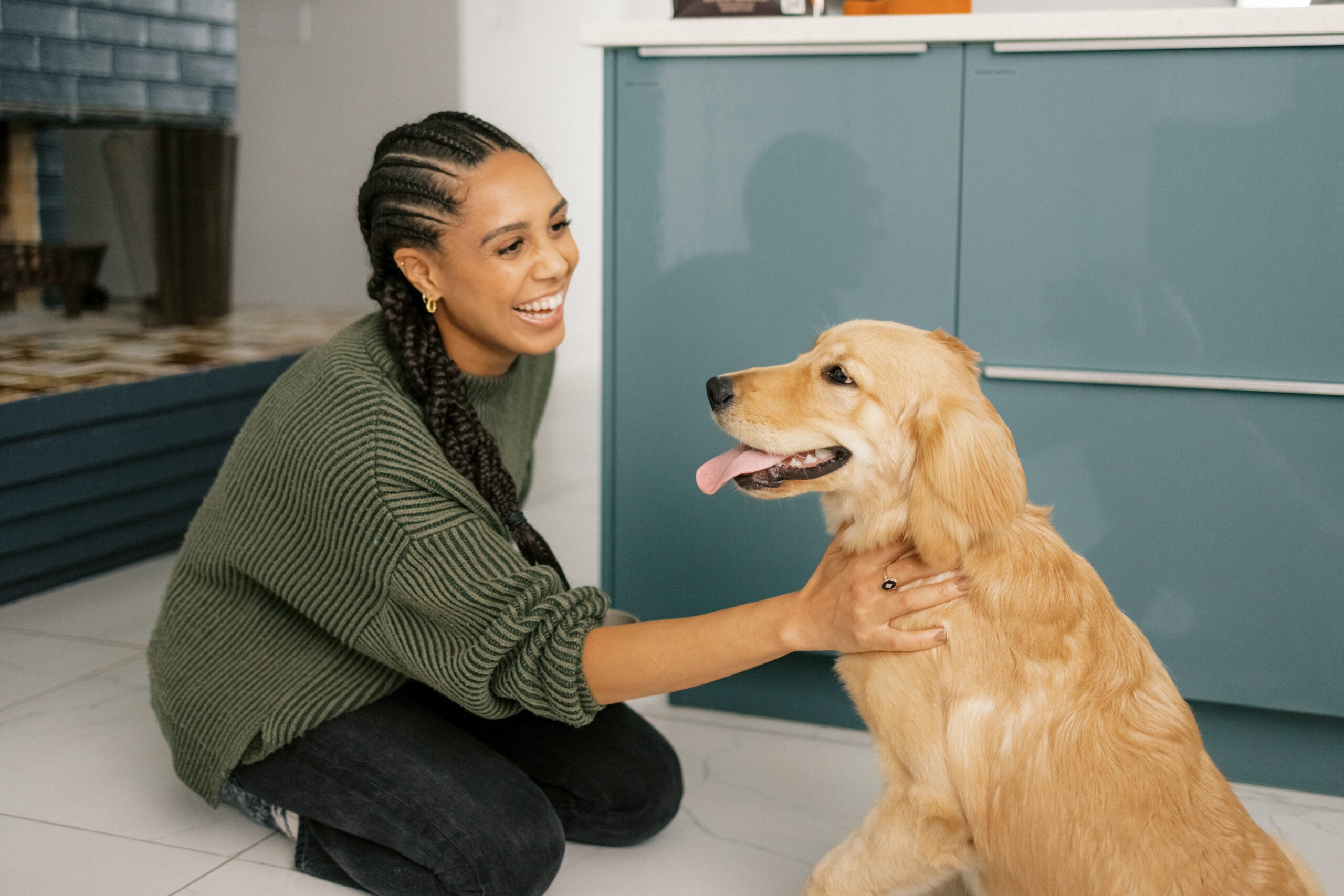 The Joyful Journey: Nurturing Your Pet's Emotional Wellbeing