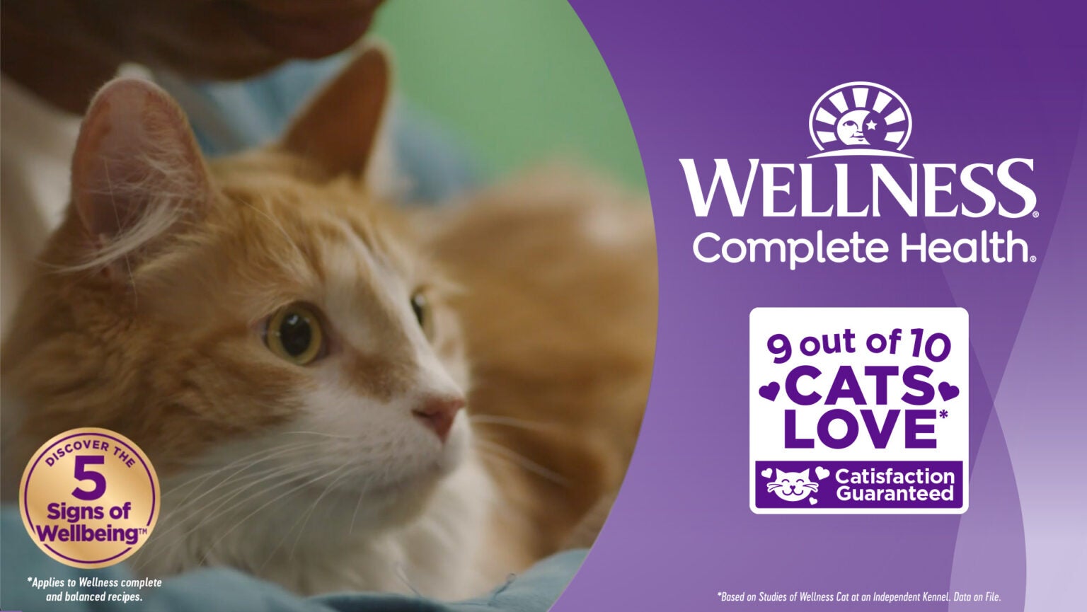 Complete Health Cat Food | Wellness Pet Food