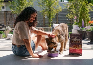 CORE+ Dogs | Wellness Pet Food