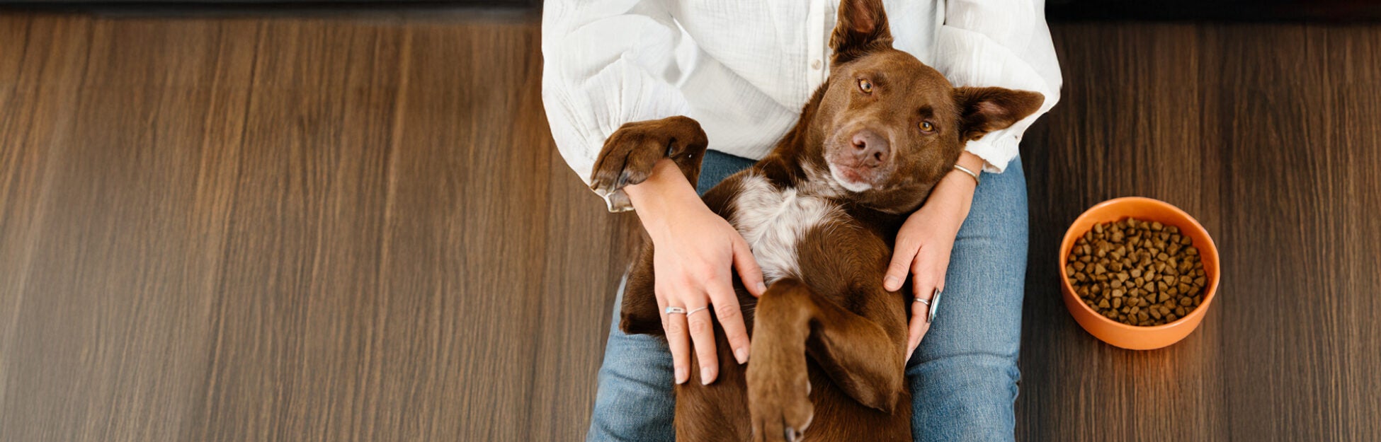 Core Digestive Health Dog | Wellness Pet Food
