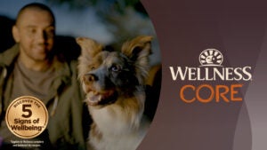 Core Dog | Wellness Pet Food