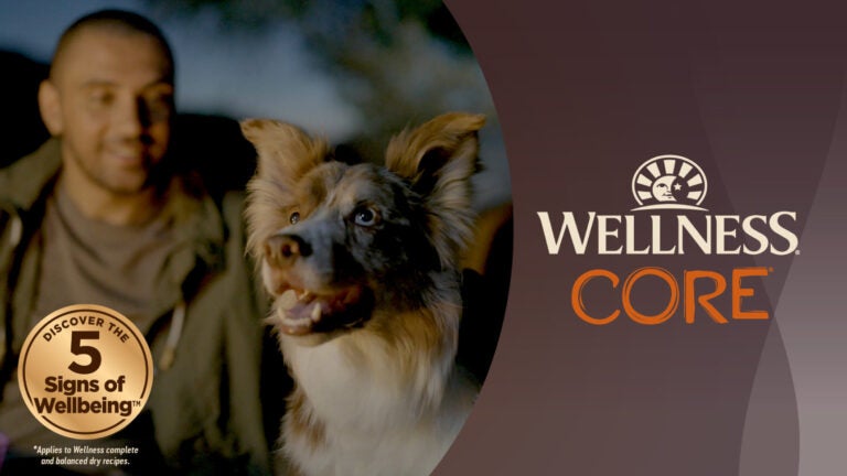 Core Dog | Wellness Pet Food