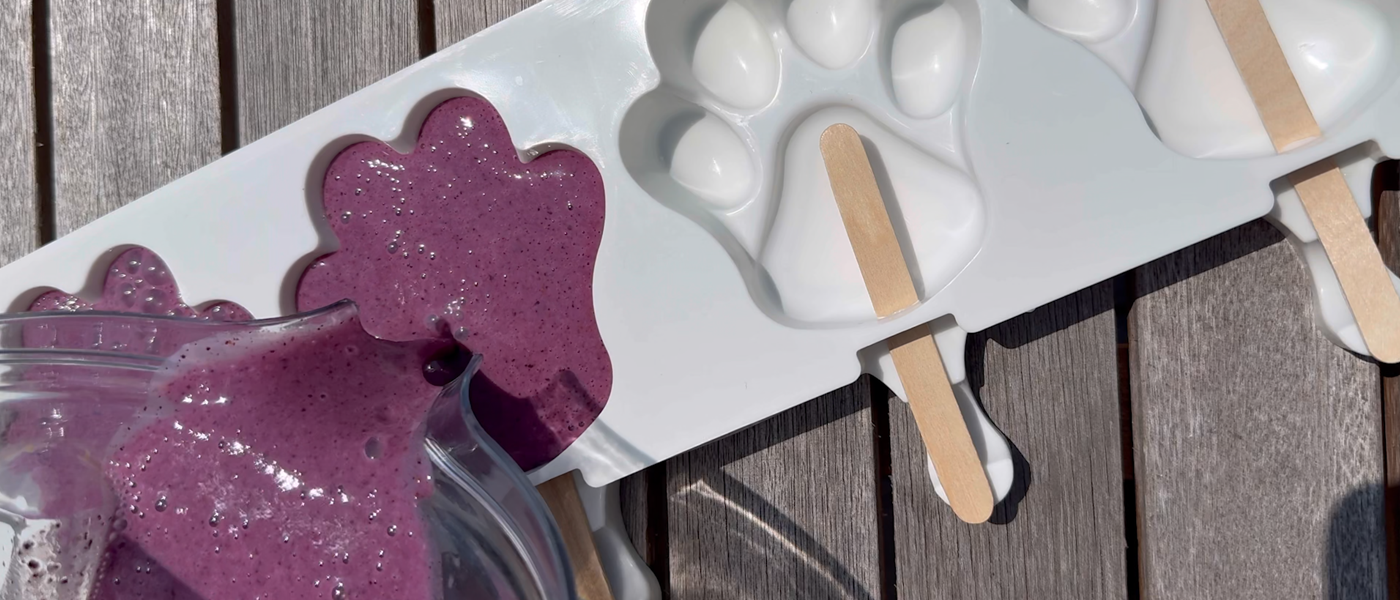 3 Healthy Dog Pupsicle Recipes for Hot Summer Days | Wellness Pet Food