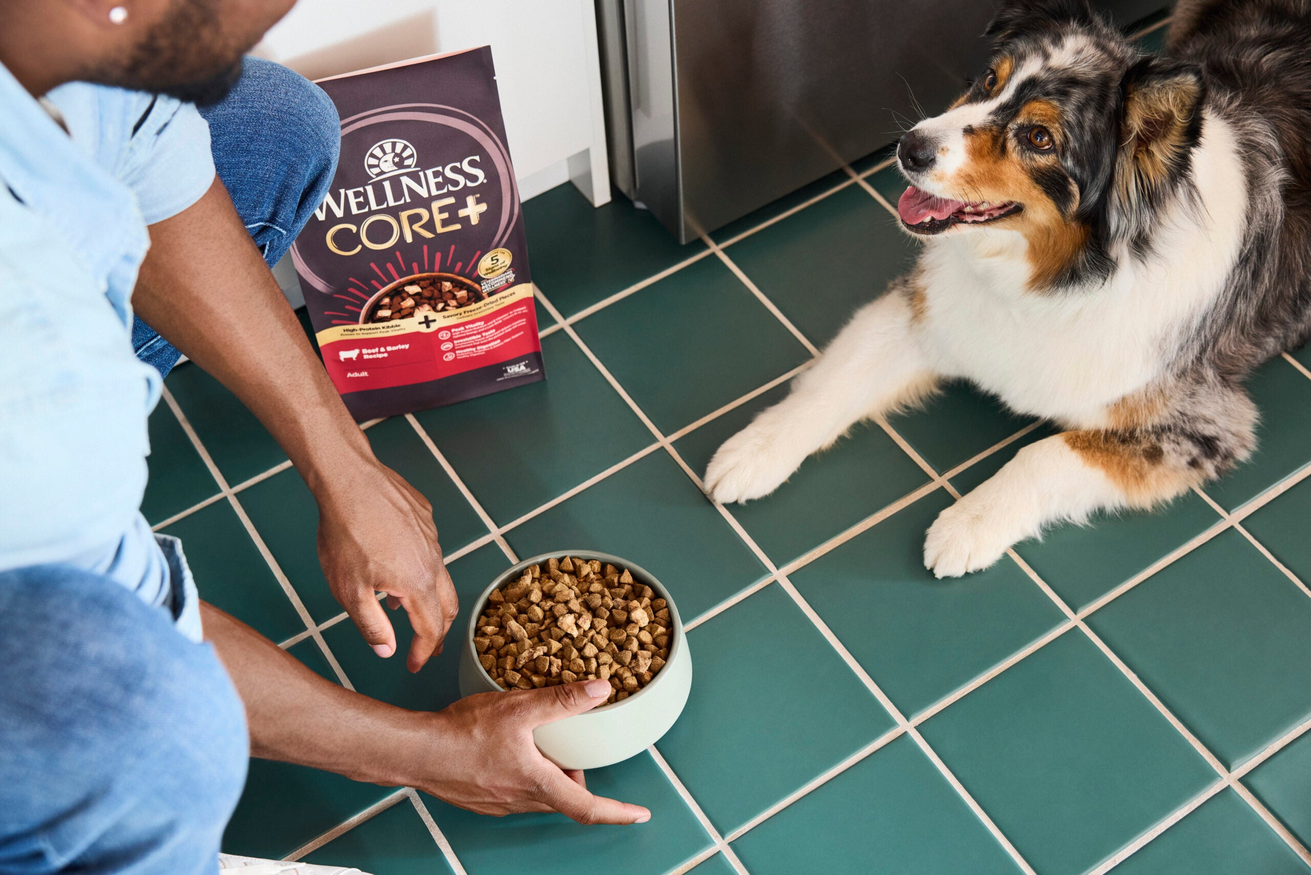 High-Protein Dry Dog Food for Energy & Muscle | Wellness Pet Food