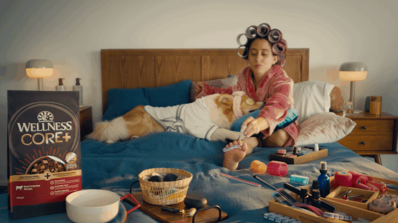 Wellness Pet Food | Premium Dog Food, Cat Food, Treats & More
