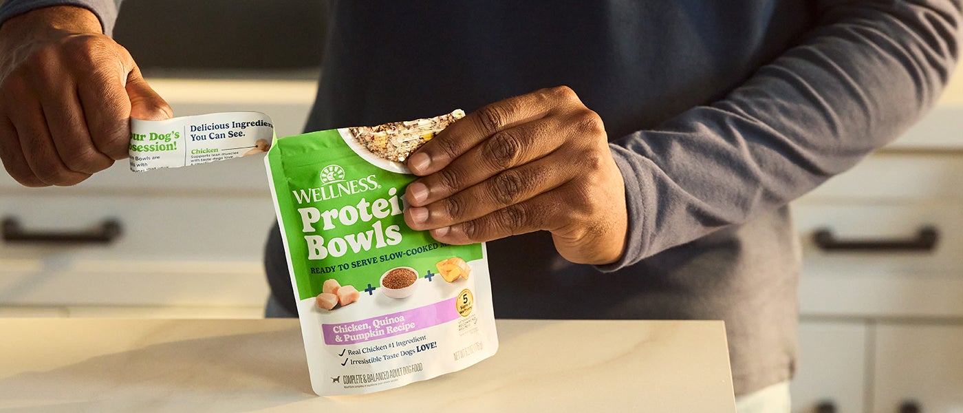 Two Ancient Grains Your Dog Should Be Eating (Beyond White Rice ...